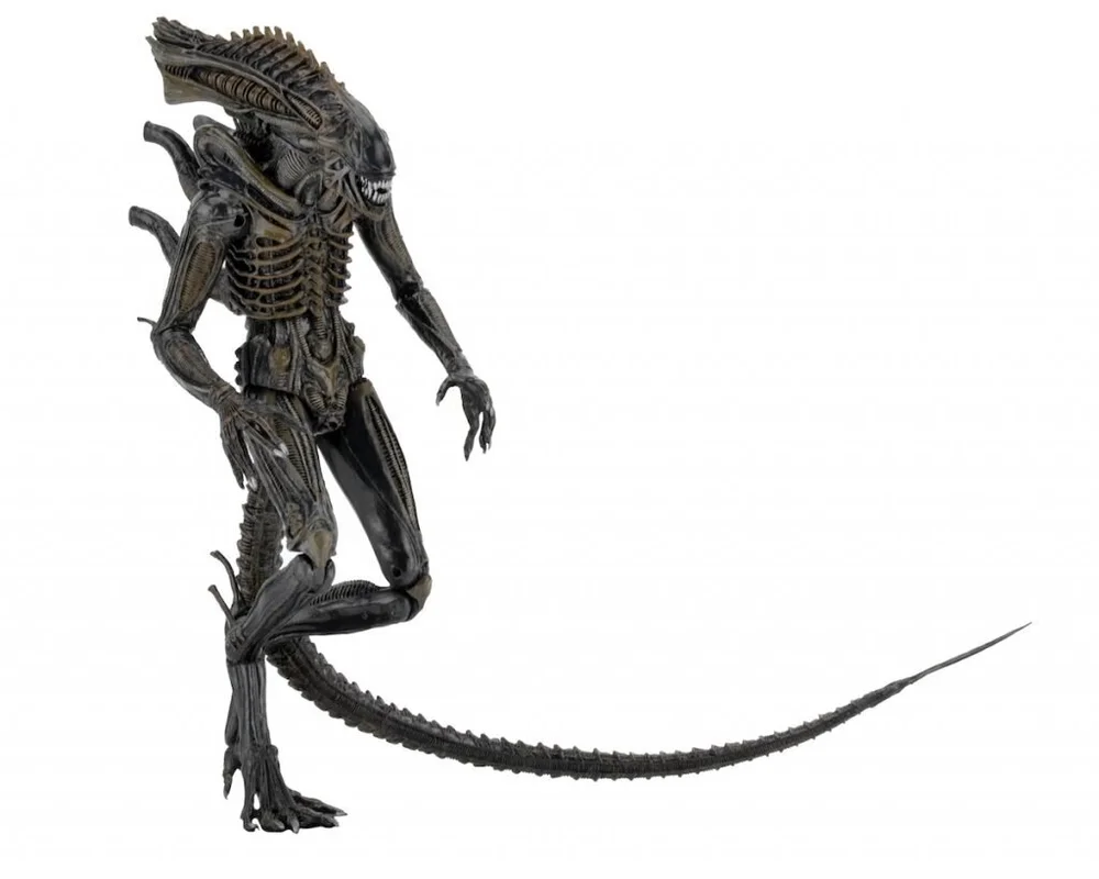 Xenomorph Warrior Drawing