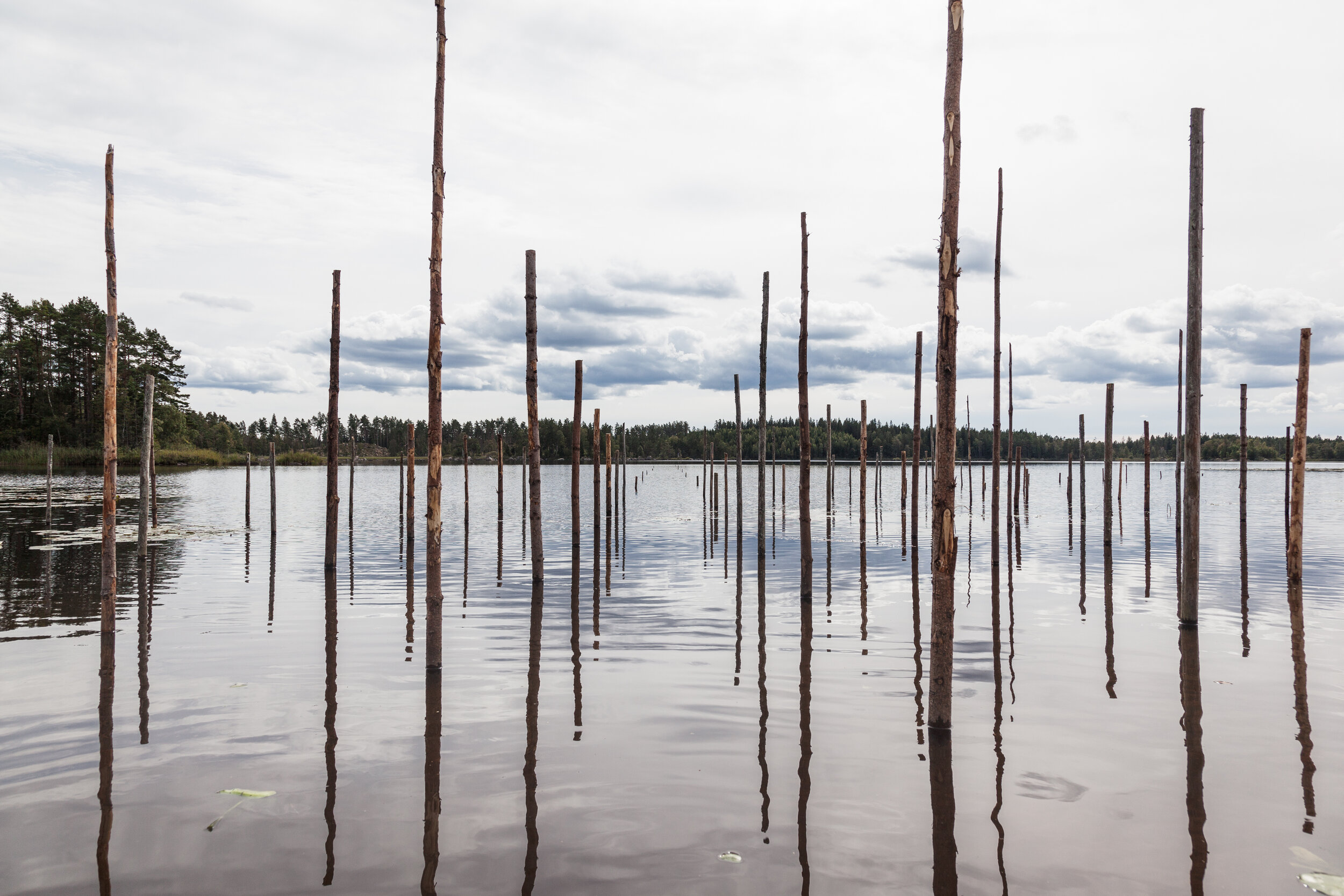 Markus Vallien -When Humanly Repeated Forms Meet the for Us Incomprehen ...