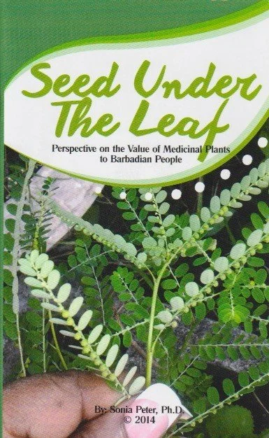 Seed Under The Leaf — Biocultural Education Research Programme