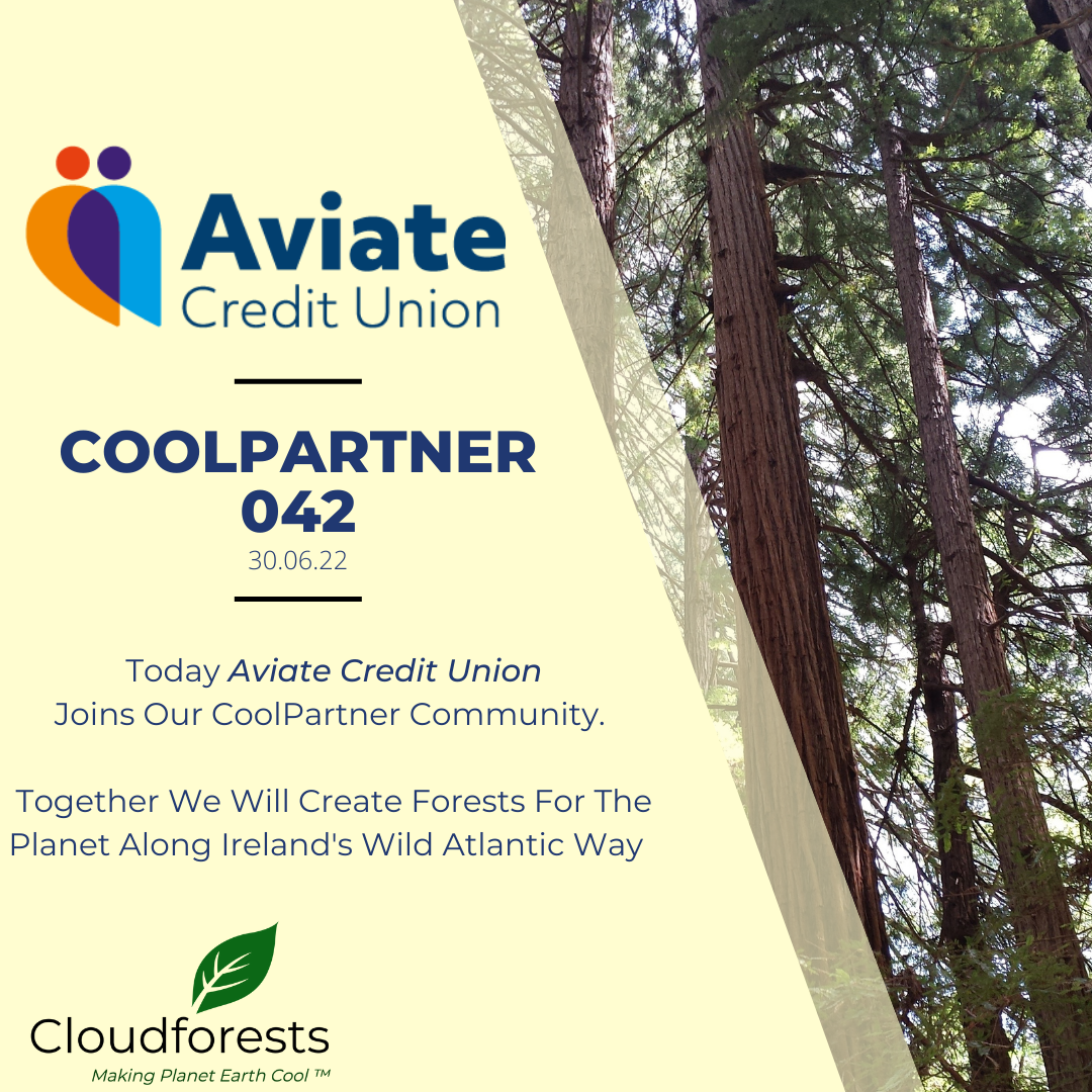 Aviate Credit Union — Cloudforests