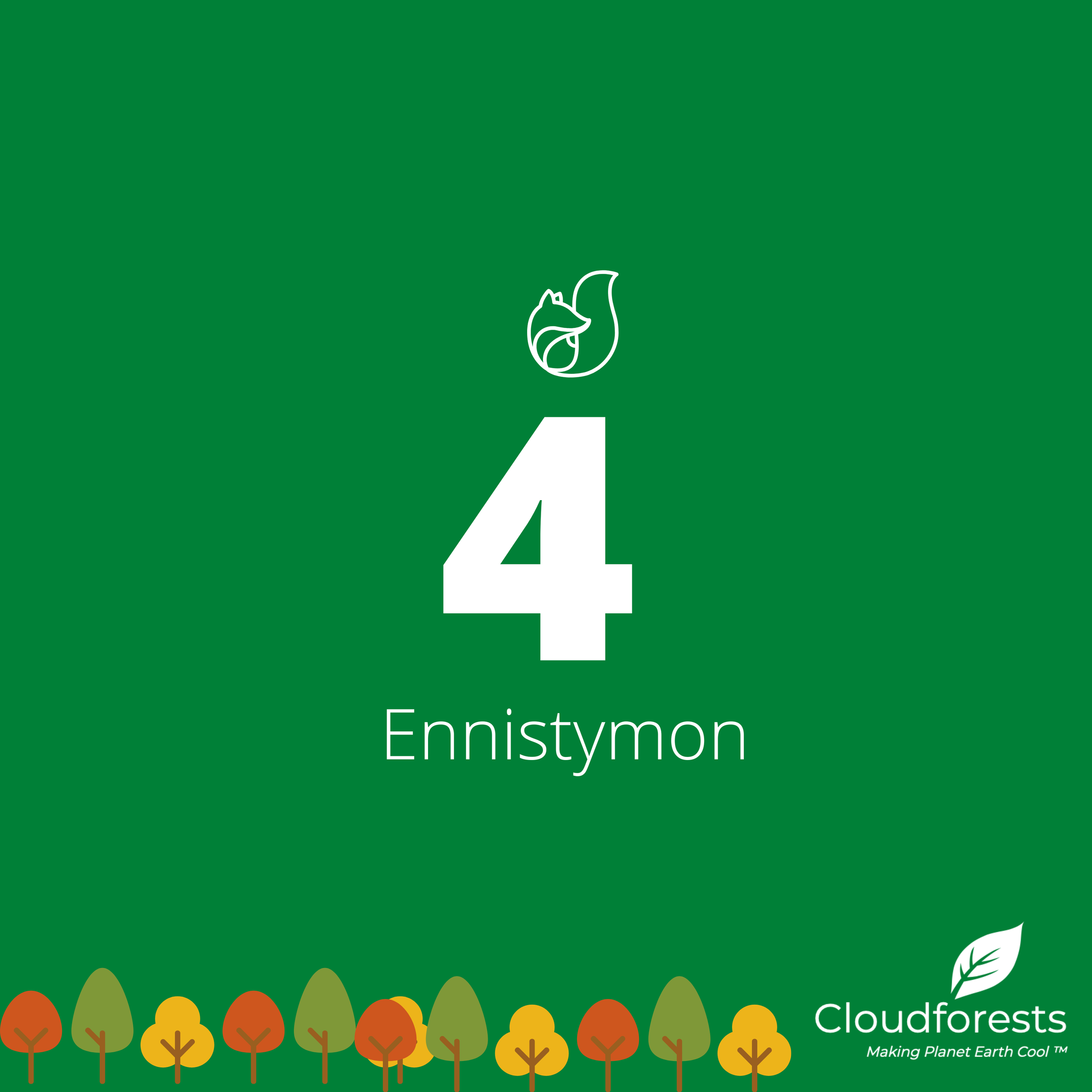 Our Forests — Cloudforests