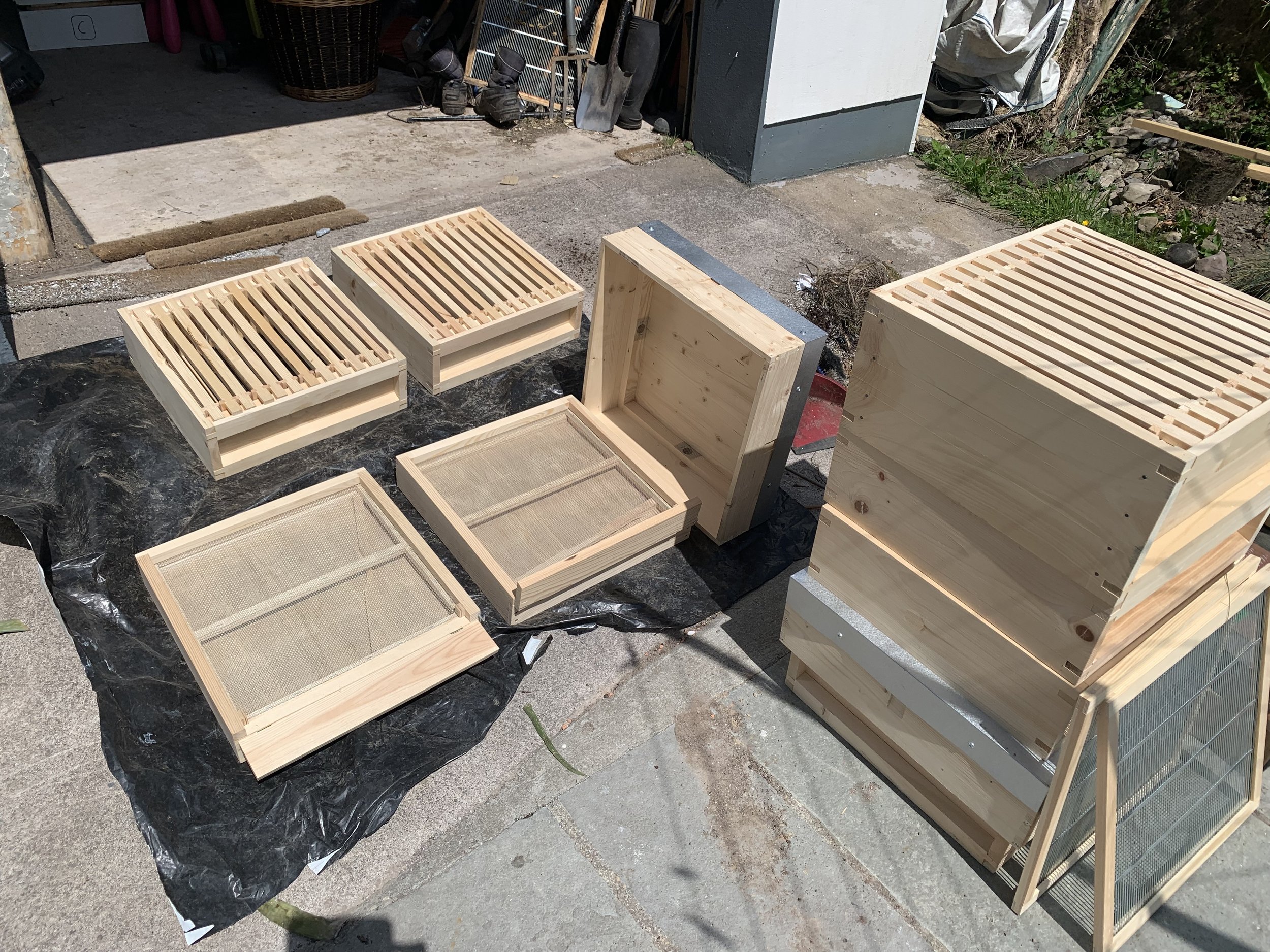 Native Irish Honey Bees — Cloudforests