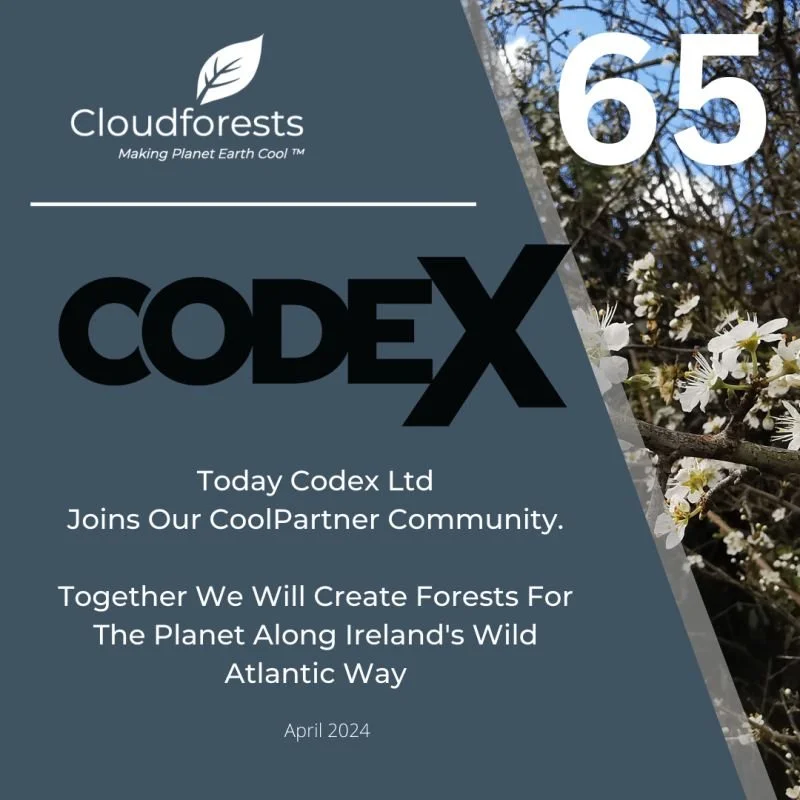 CoolPartner 65 - Codex Ltd — Cloudforests