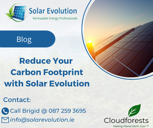 Reduce your Carbon Footprint with Solar Evolution — Cloudforests