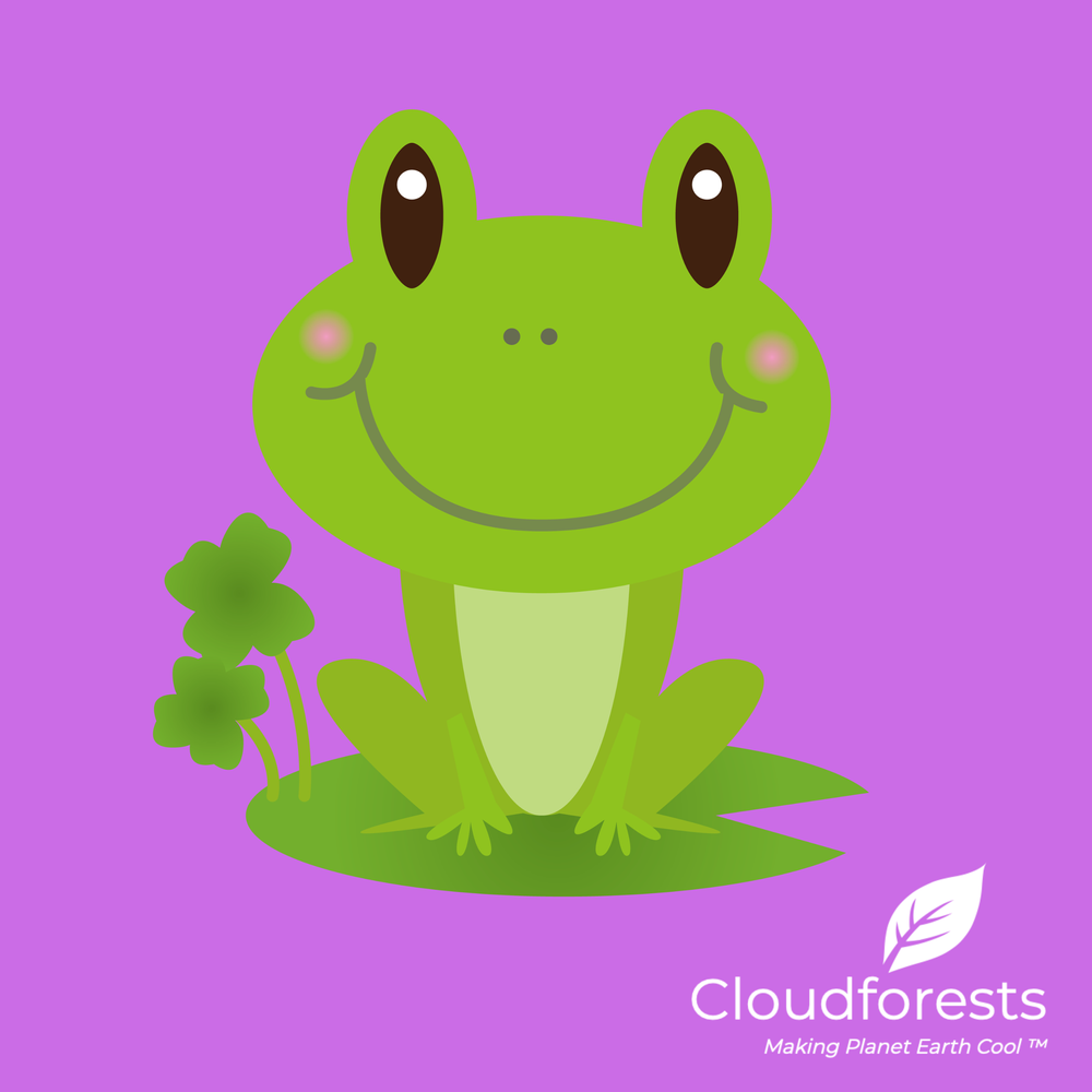 Exploring Ireland's Frogs: A Journey Through Nature's Wonders ...