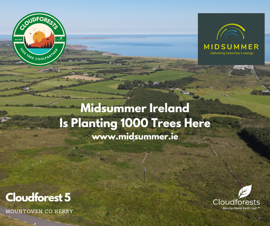 Midsummer Ireland — Cloudforests