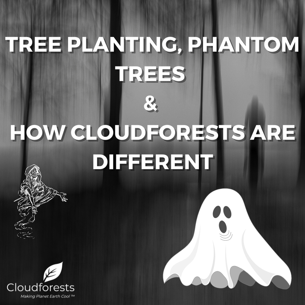 Tree Planting, Phantom Trees and how Cloudforests are different ...