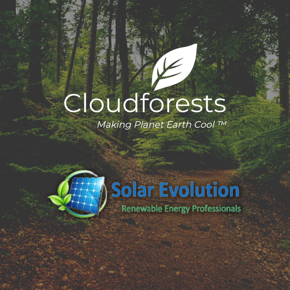 Solar Evolution Announce Their Intention To Plant A Tree For All Of ...