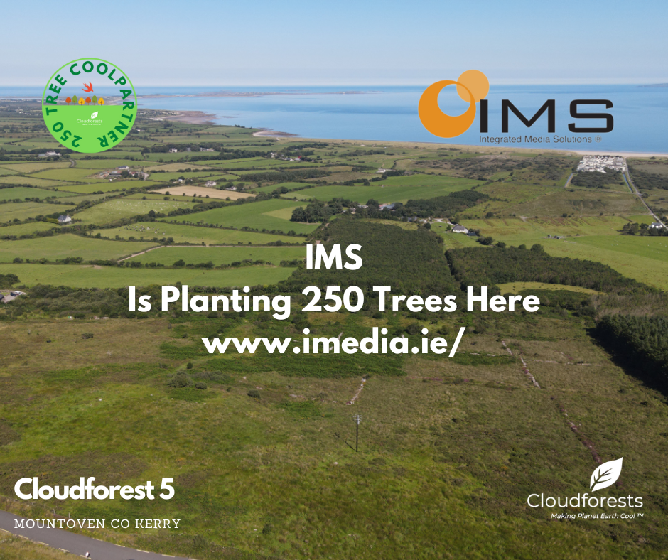 IMS - 250 Trees - Cloudforest 5 — Cloudforests