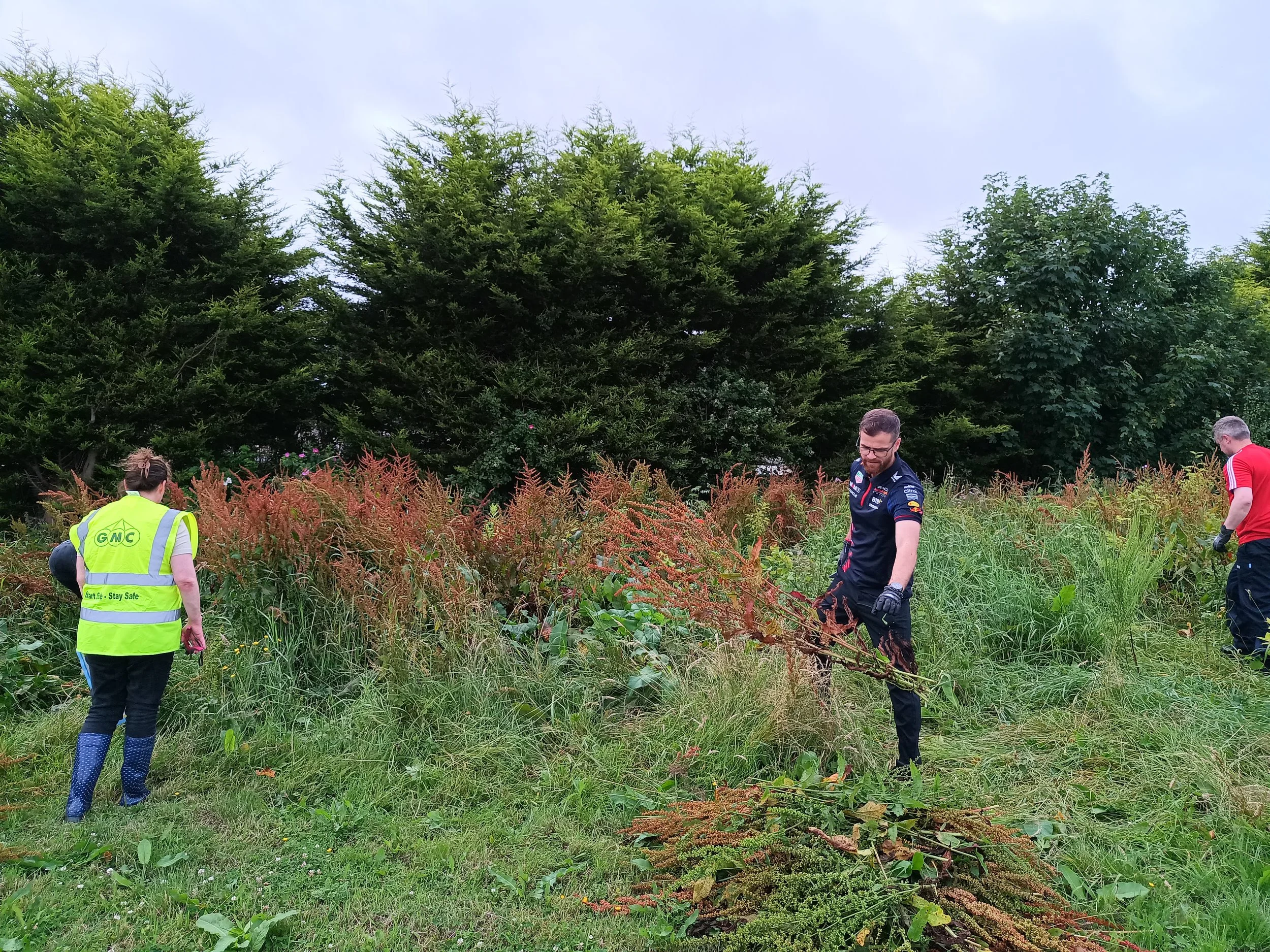 GMC Utilities — Cloudforests