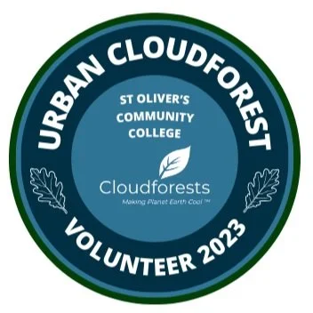 Usee.ie - CoolPartner for Nature-Focused Business Solutions — Cloudforests