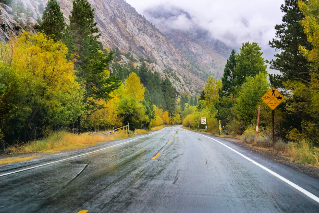 2025 Guide to See Colorado's Best Aspens Fall Colors — Colorado Hikes ...