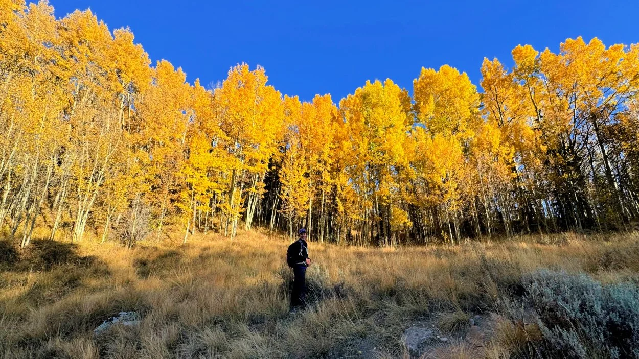 Boreas Pass Colorado: 3 Best hikes + Complete Driving Guide (22 Miles ...