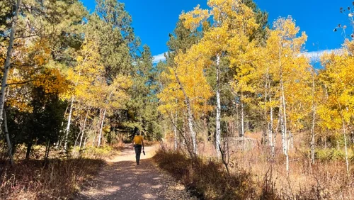 Palmer Lake Reservoir Trailhead Dishes Out Multiple Sweet Hikes ...