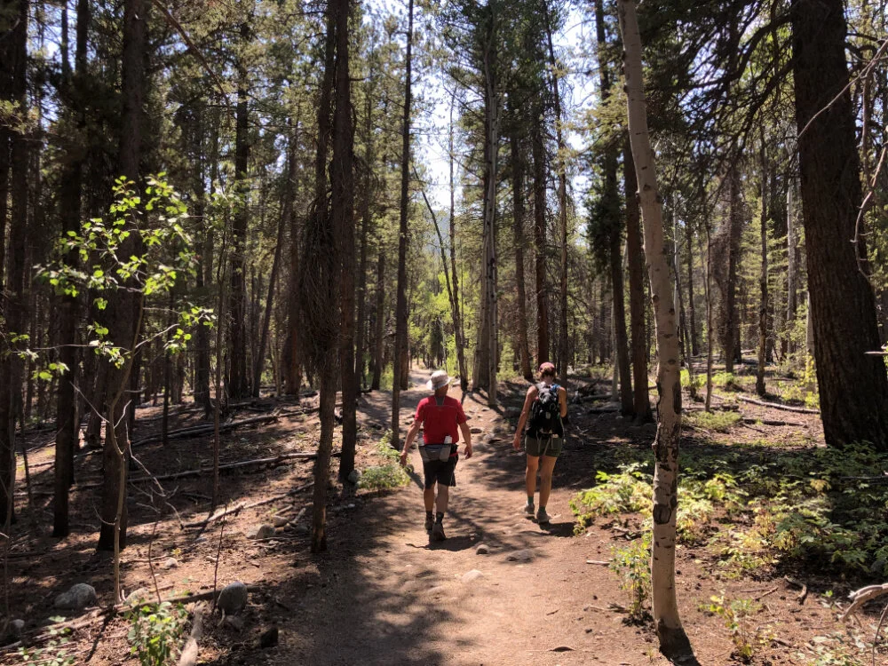 True Colorado Hiking in Buena Vista and Salida 2025 — Colorado Hikes ...
