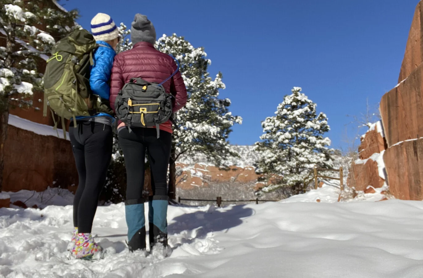 Hiking Daypacks That Work Hard Like You Do — Colorado Hikes and Hops