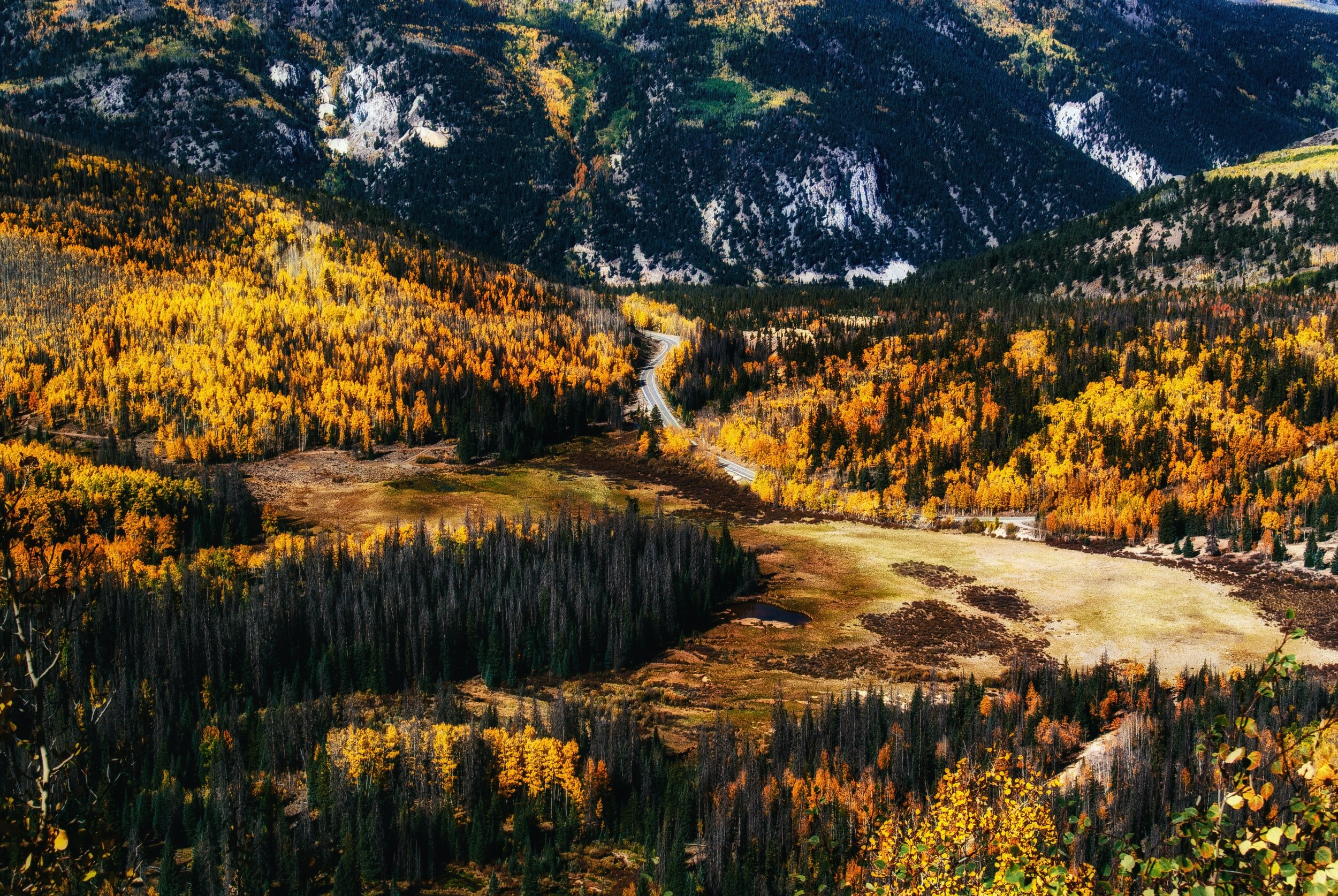 2025 Guide to See Colorado's Best Aspens Fall Colors — Colorado Hikes ...