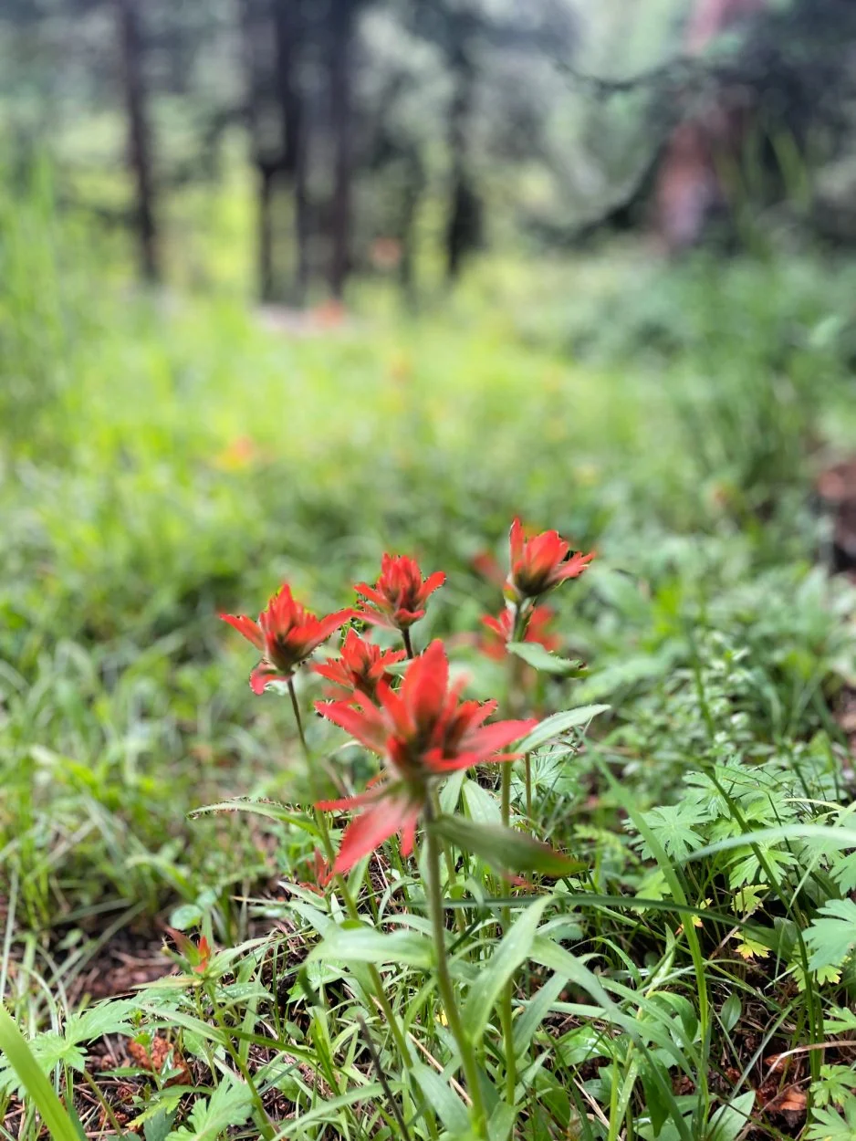 Backpacking Maroon Bells Four Pass Loop in 2023 - A Must Do Adventure ...