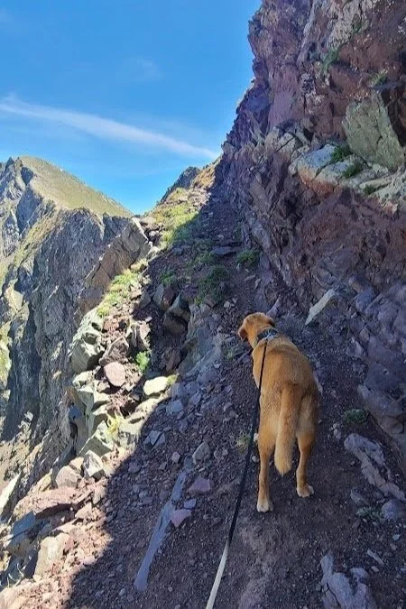 Westcliffe Colorado Adventures in the Sangre de Cristo Mountains ...