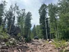 Westcliffe Colorado Adventures in the Sangre de Cristo Mountains ...