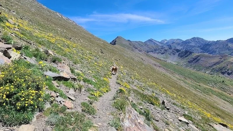 Westcliffe Colorado Adventures in the Sangre de Cristo Mountains ...