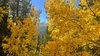 Boreas Pass Colorado: 3 Best hikes + Complete Driving Guide (22 Miles ...