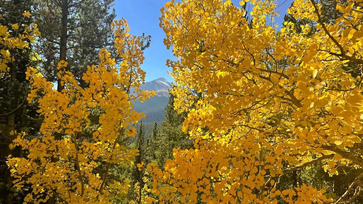 Boreas Pass Colorado: 3 Best hikes + Complete Driving Guide (22 Miles ...