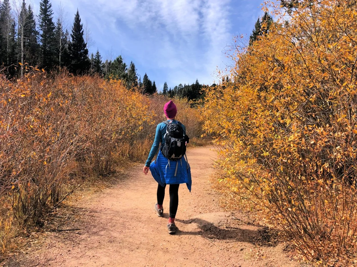 2025 Guide to See Colorado's Best Aspens Fall Colors — Colorado Hikes ...