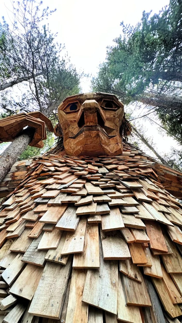 Going on a Troll Hike Colorado Style — Colorado Hikes and Hops