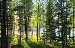 Romantic Picnic Ideas in Colorado: Where to Go for the Perfect Outdoor ...