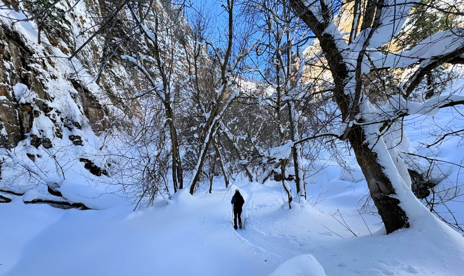 Crack the Code to Cold: Colorado Winter Hiking Tips — Colorado Hikes ...