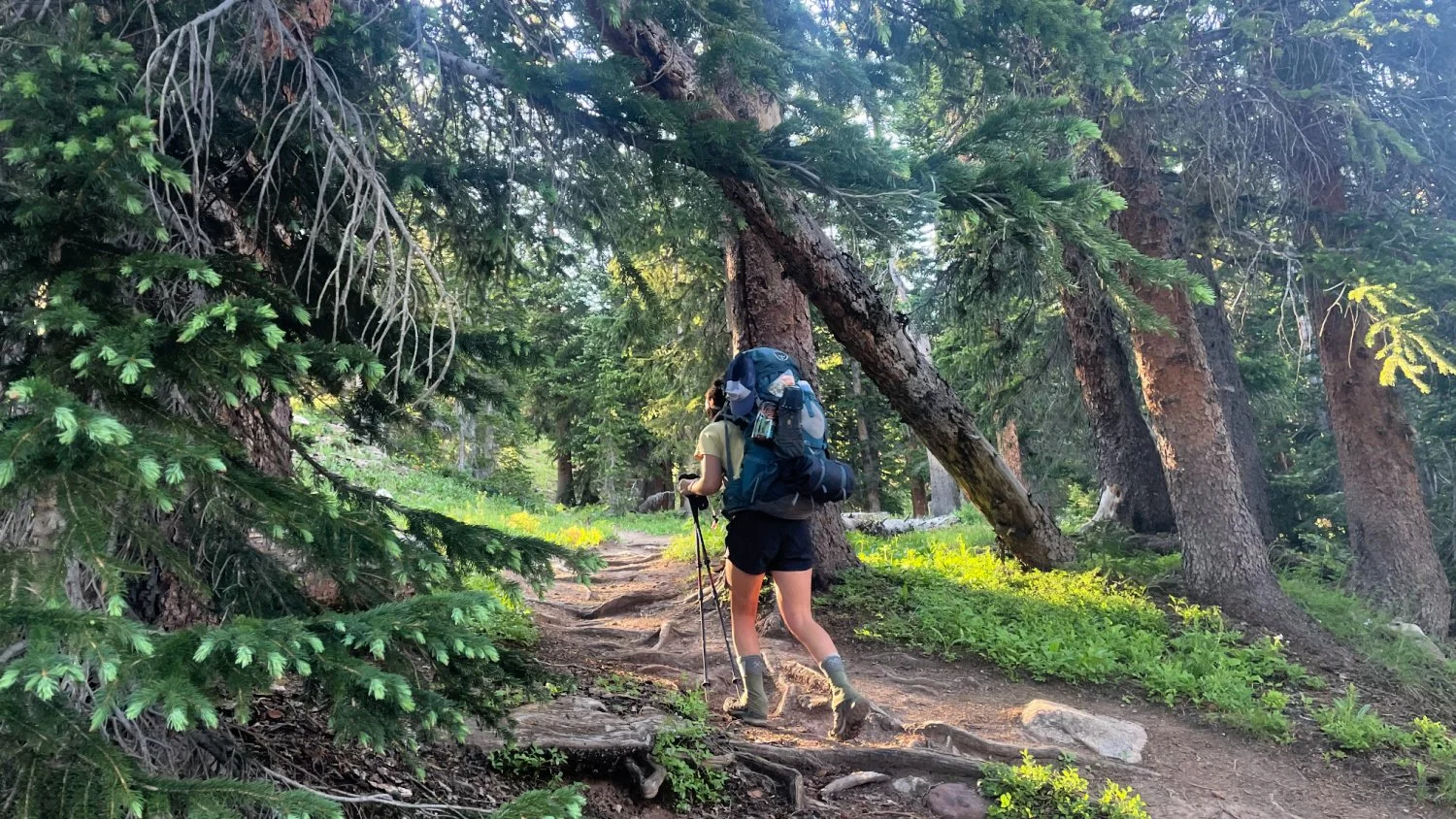 Pack Smart: Essentials for Backpacking Trip — Colorado Hikes and Hops