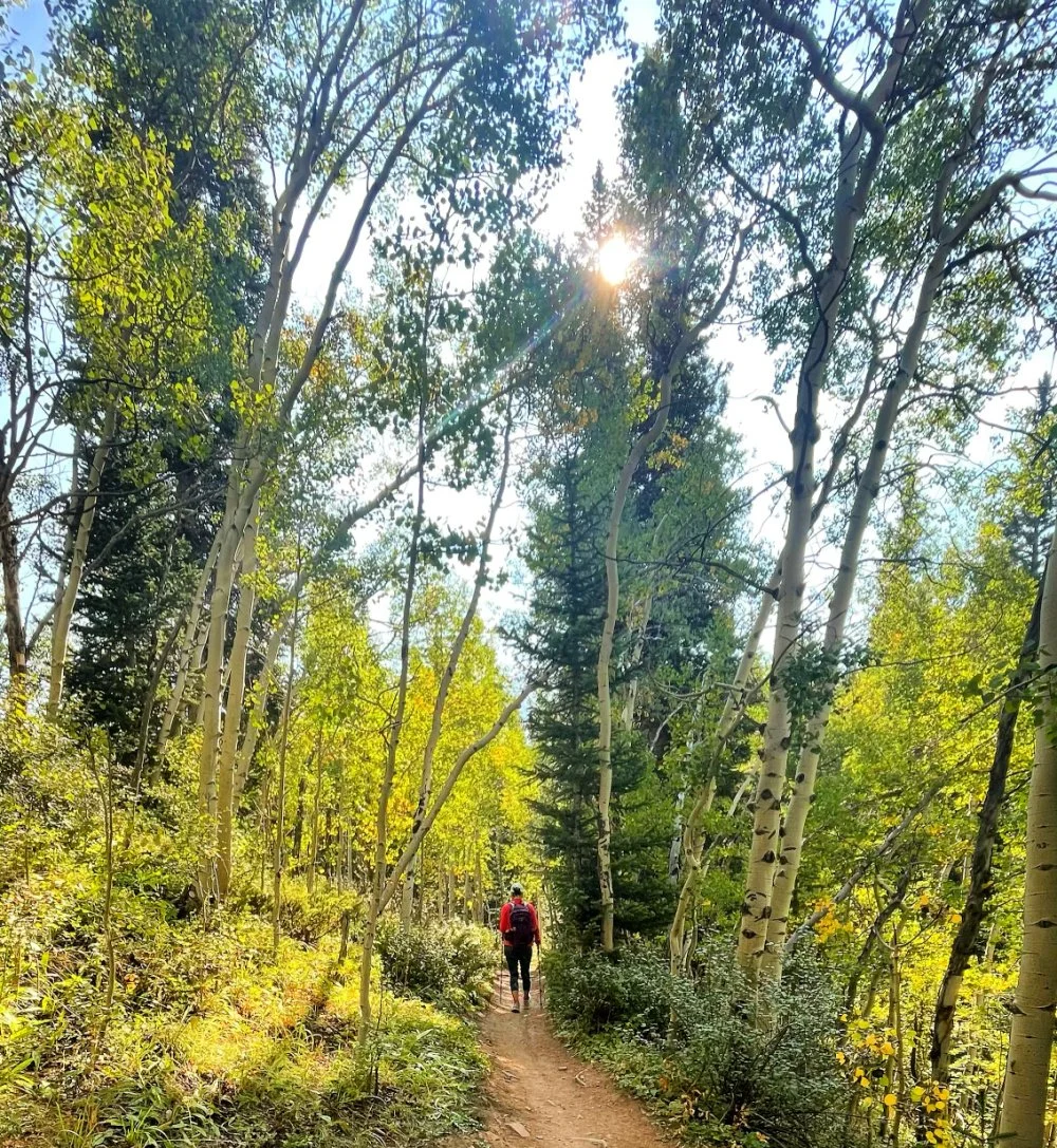 2025 Guide to See Colorado's Best Aspens Fall Colors — Colorado Hikes ...