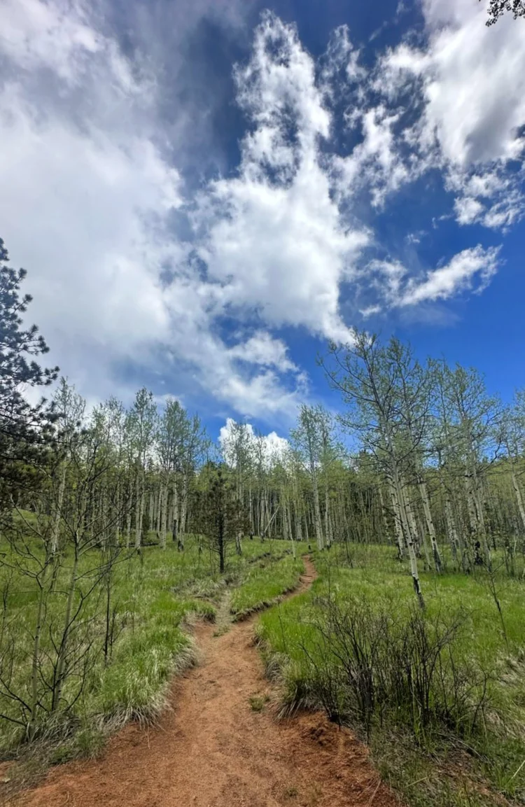 Hit the Trails! The Best Hiking Spots in Colorado Springs North ...