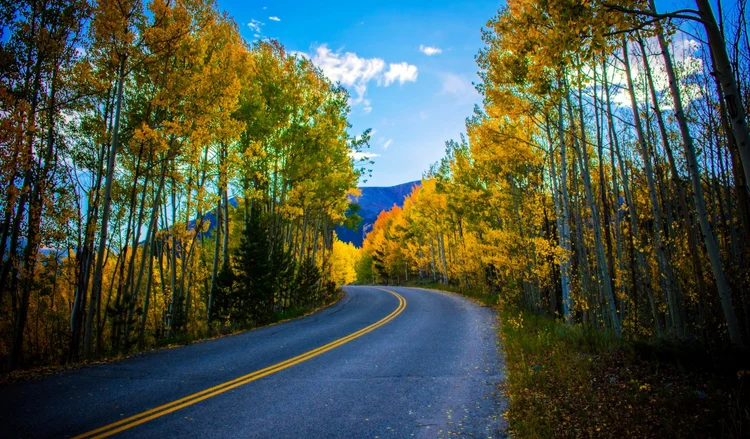2025 Guide to See Colorado's Best Aspens Fall Colors — Colorado Hikes ...