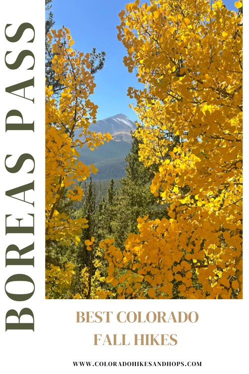 Why Boreas Pass Colorado is the Ultimate Fall Adventure — Colorado ...