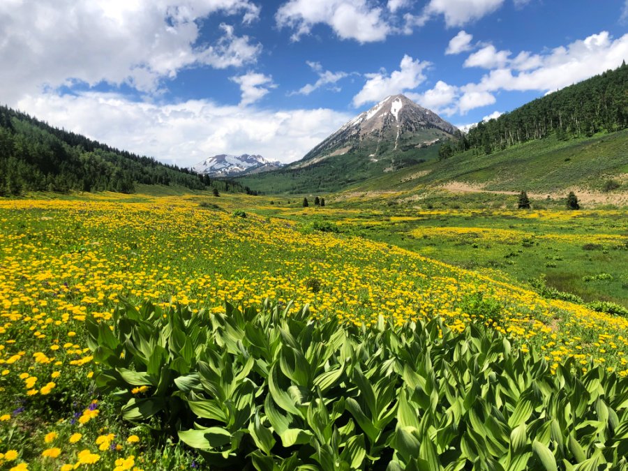 Crested Butte Hikes with Stunning Views: 14 Best Trails to Explore in ...