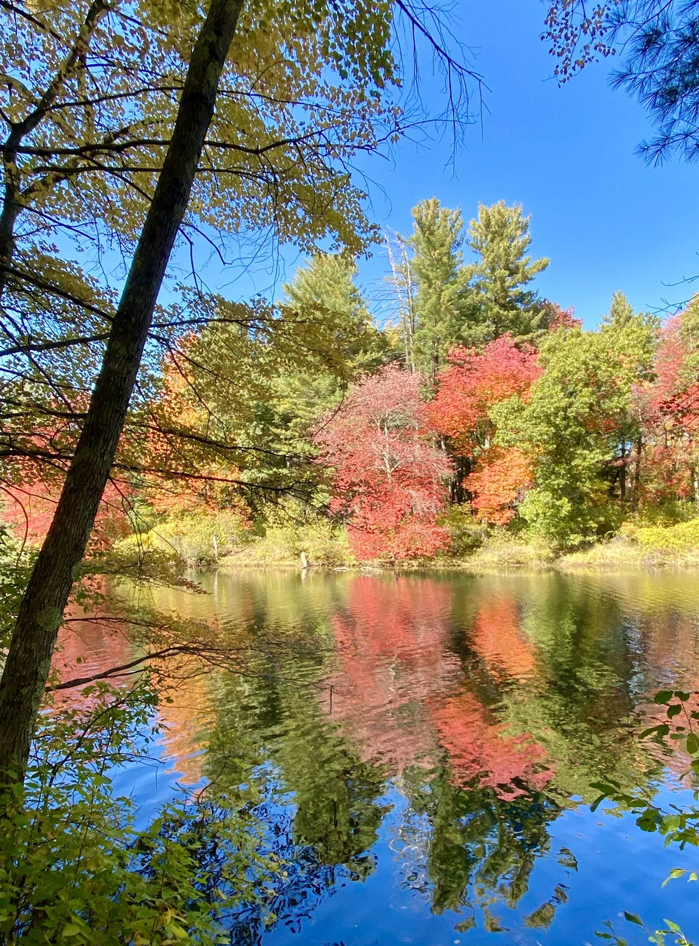 Mine Falls Park in the city of Nashua, NH is a hidden gem for a ...