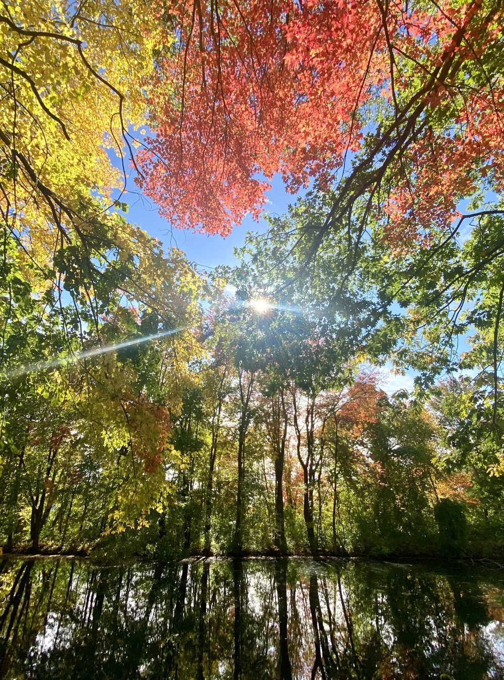 Mine Falls Park in the city of Nashua, NH is a hidden gem for a ...