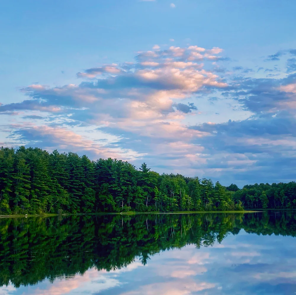 Ashley Reservoir in Holyoke MA is an beautiful spot for easy hiking and ...