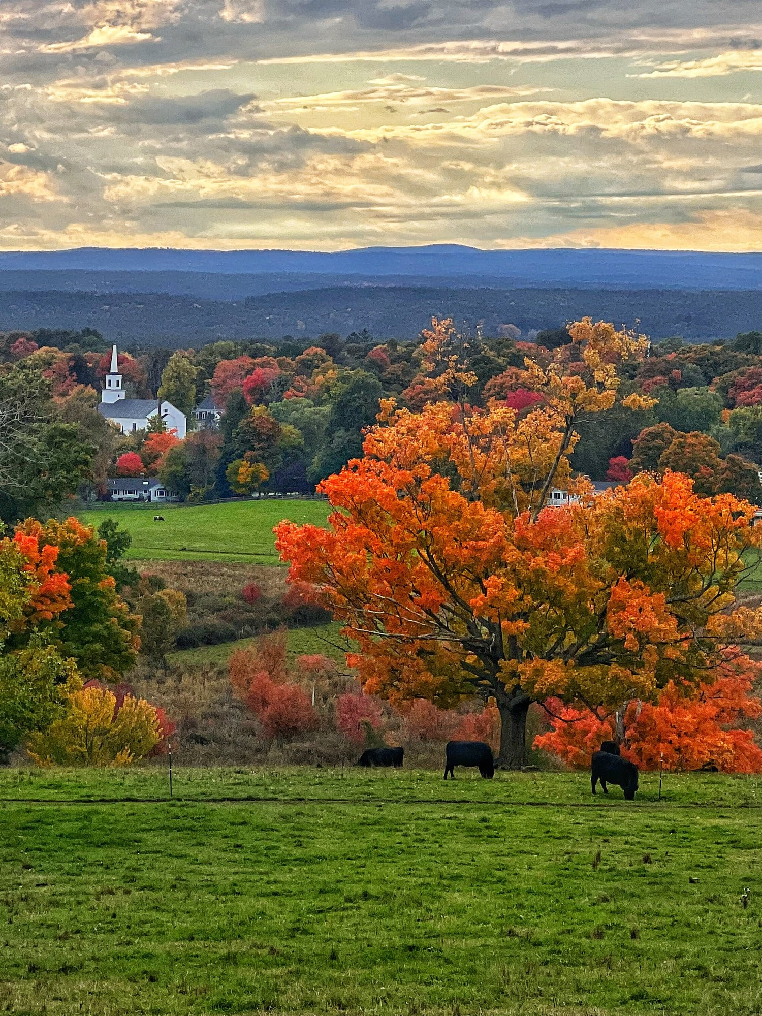 Ruins of the abandoned Bancroft's Castle sit atop Gibbet Hill summit in ...