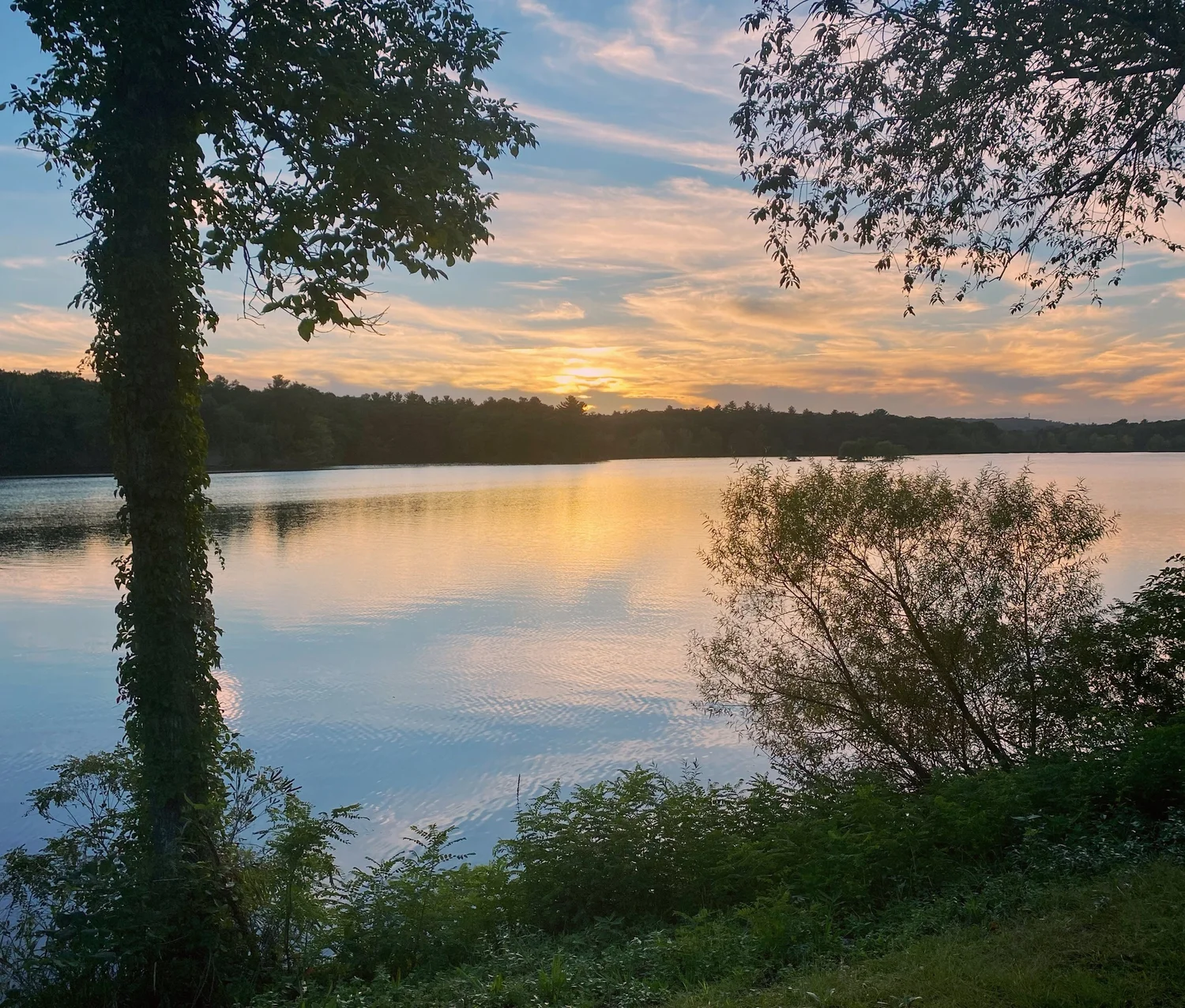 Horn Pond in Woburn, Massachusetts is a scenic spot for easy nature ...