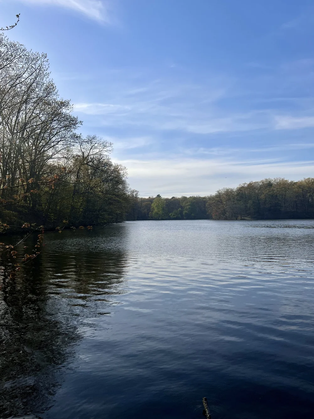 Horn Pond in Woburn, Massachusetts is a scenic spot for easy nature ...