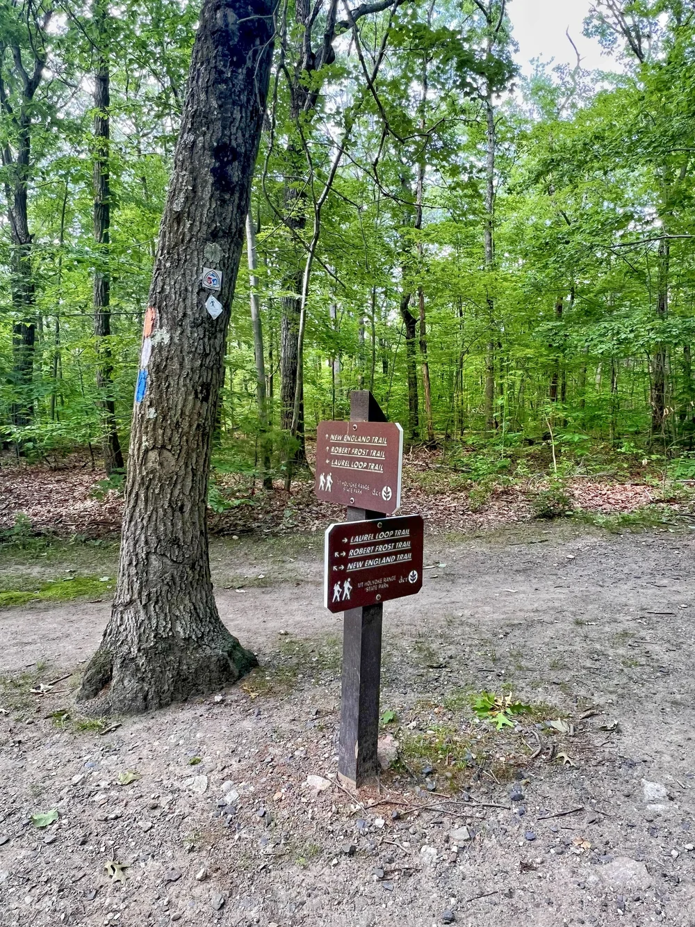 Laurel Loop is a scenic trail in the Mount Holyoke State Range where ...