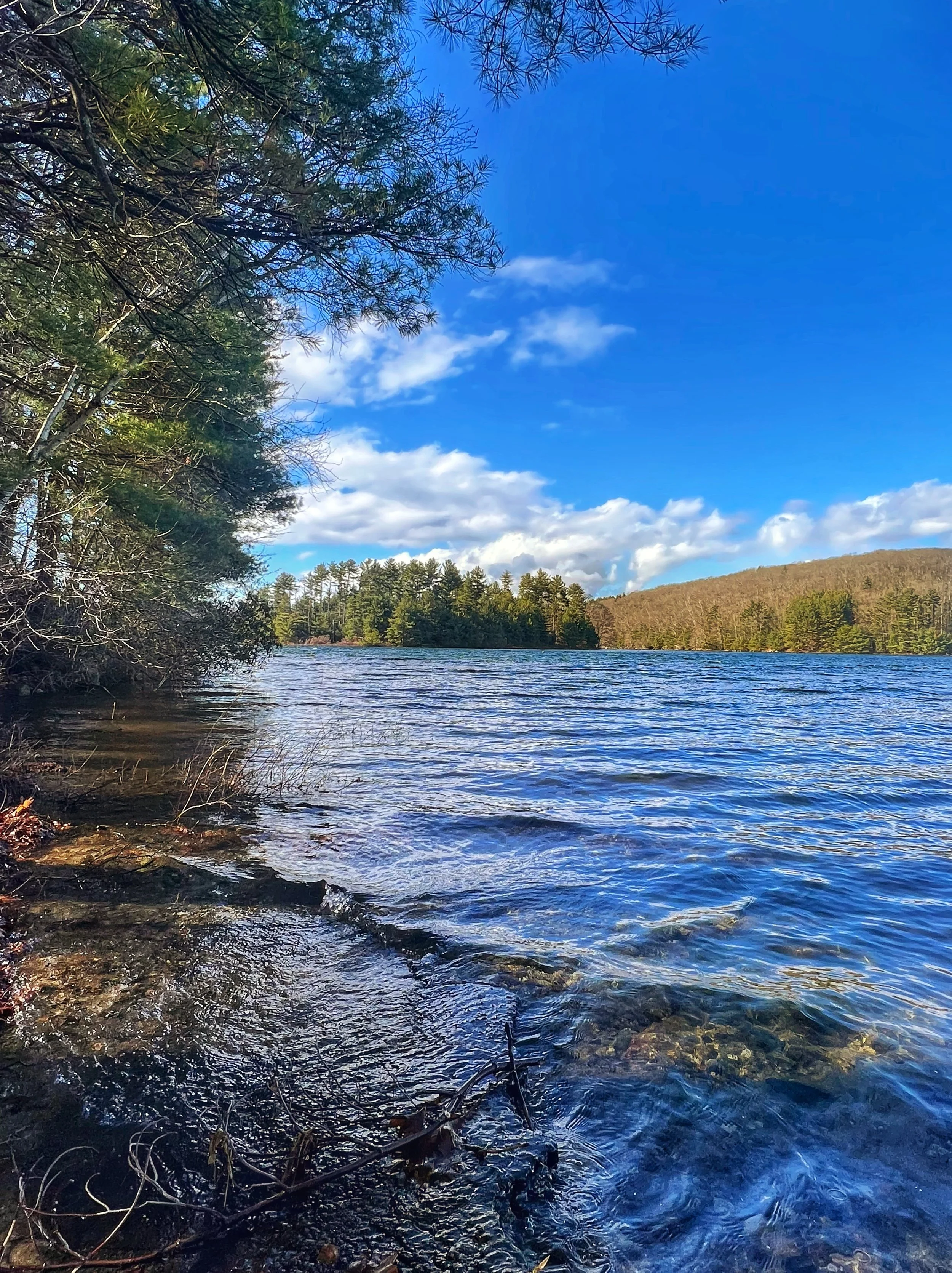 Quabbin Reservoir Gate 52 is a short, easy hike to the Quabbin shore ...