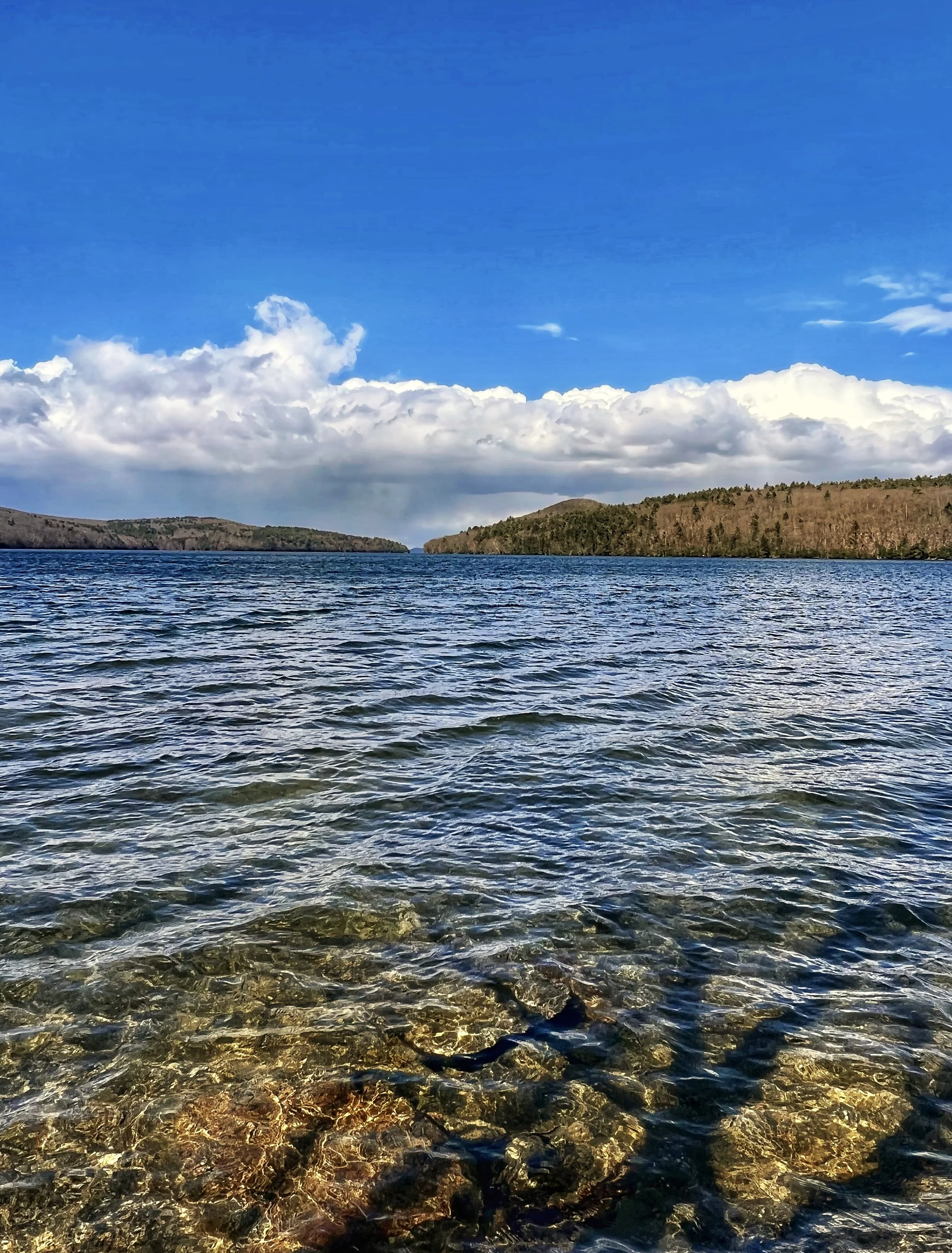Quabbin Reservoir Gate 52 is a short, easy hike to the Quabbin shore ...