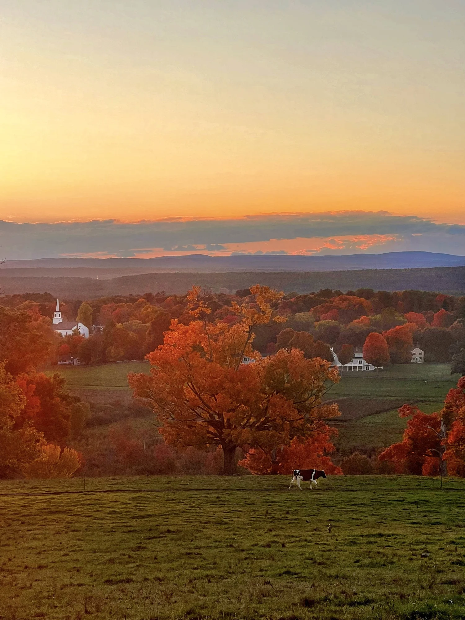 Ruins of the abandoned Bancroft's Castle sit atop Gibbet Hill summit in ...