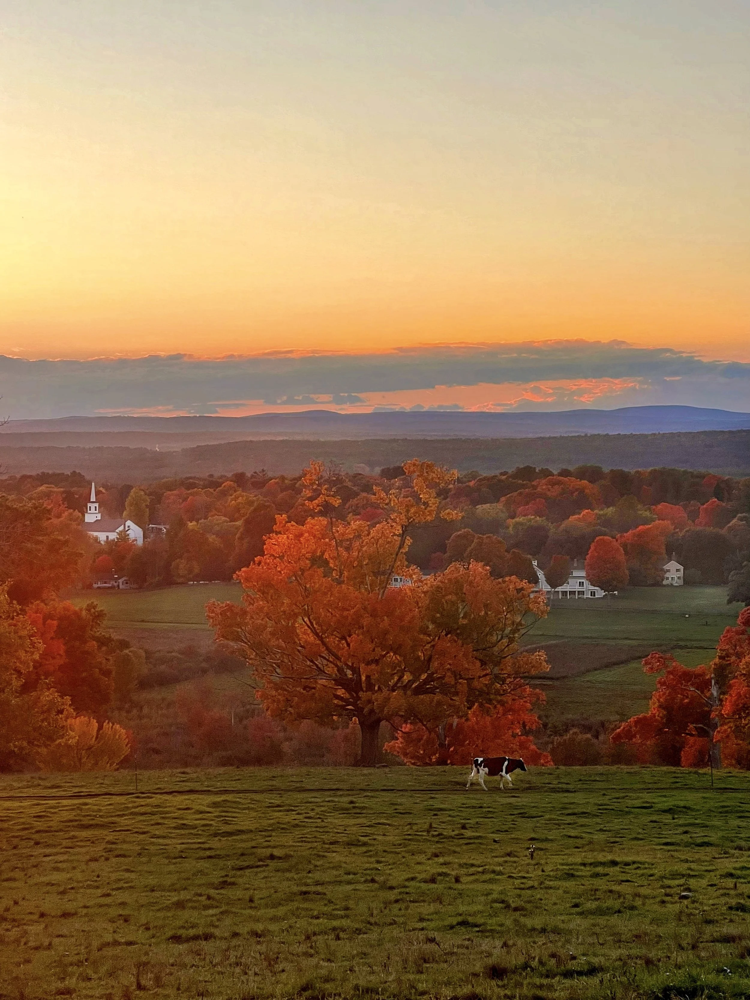 Ruins of the abandoned Bancroft's Castle sit atop Gibbet Hill summit in ...