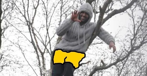 Quidditch Snitch Runner