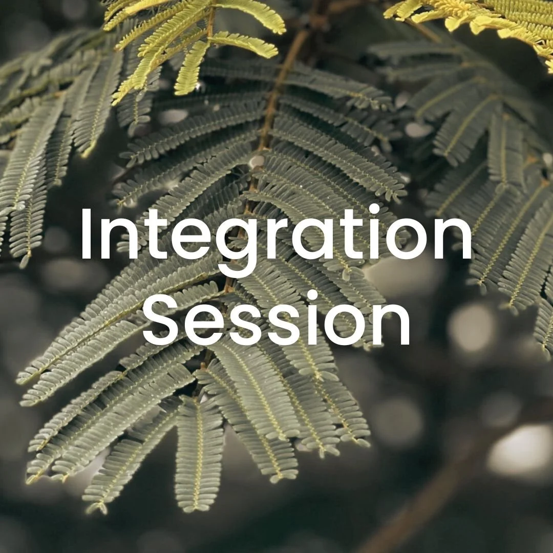 Ayahuasca Integration Sessions — Casa Del Maestro Ayahuasca Plant ...